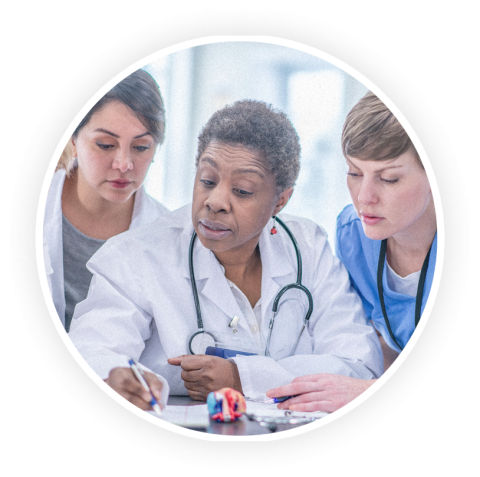 Health Care Organizations | Rise to Health Coalition